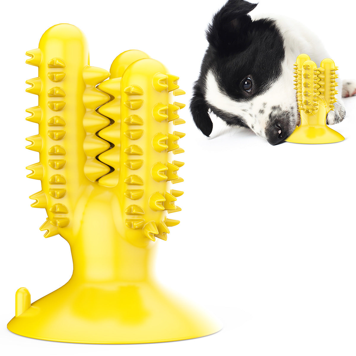 New Dog Toothbrush Brushing Stick Puppy Dental Care Teeth – Peettt